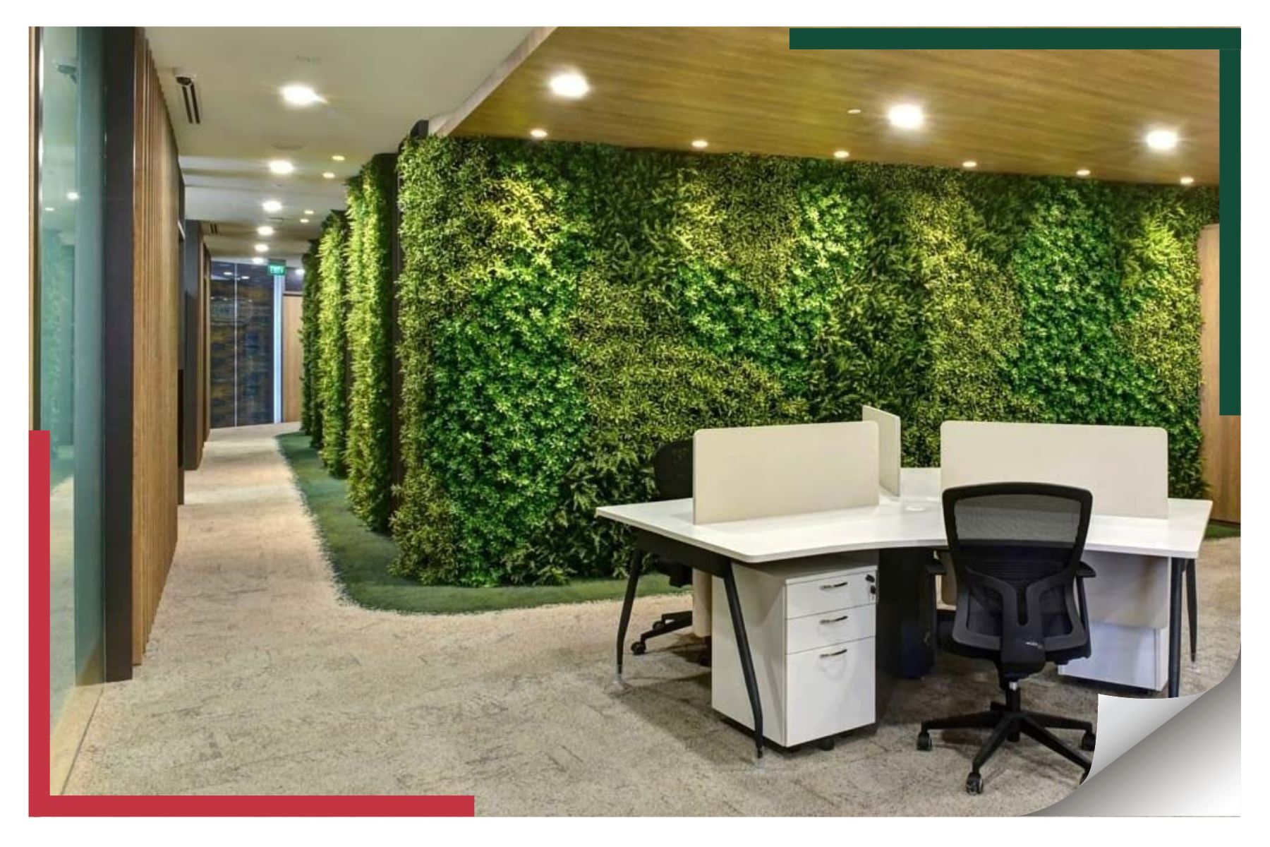 About us | Integrated Studio